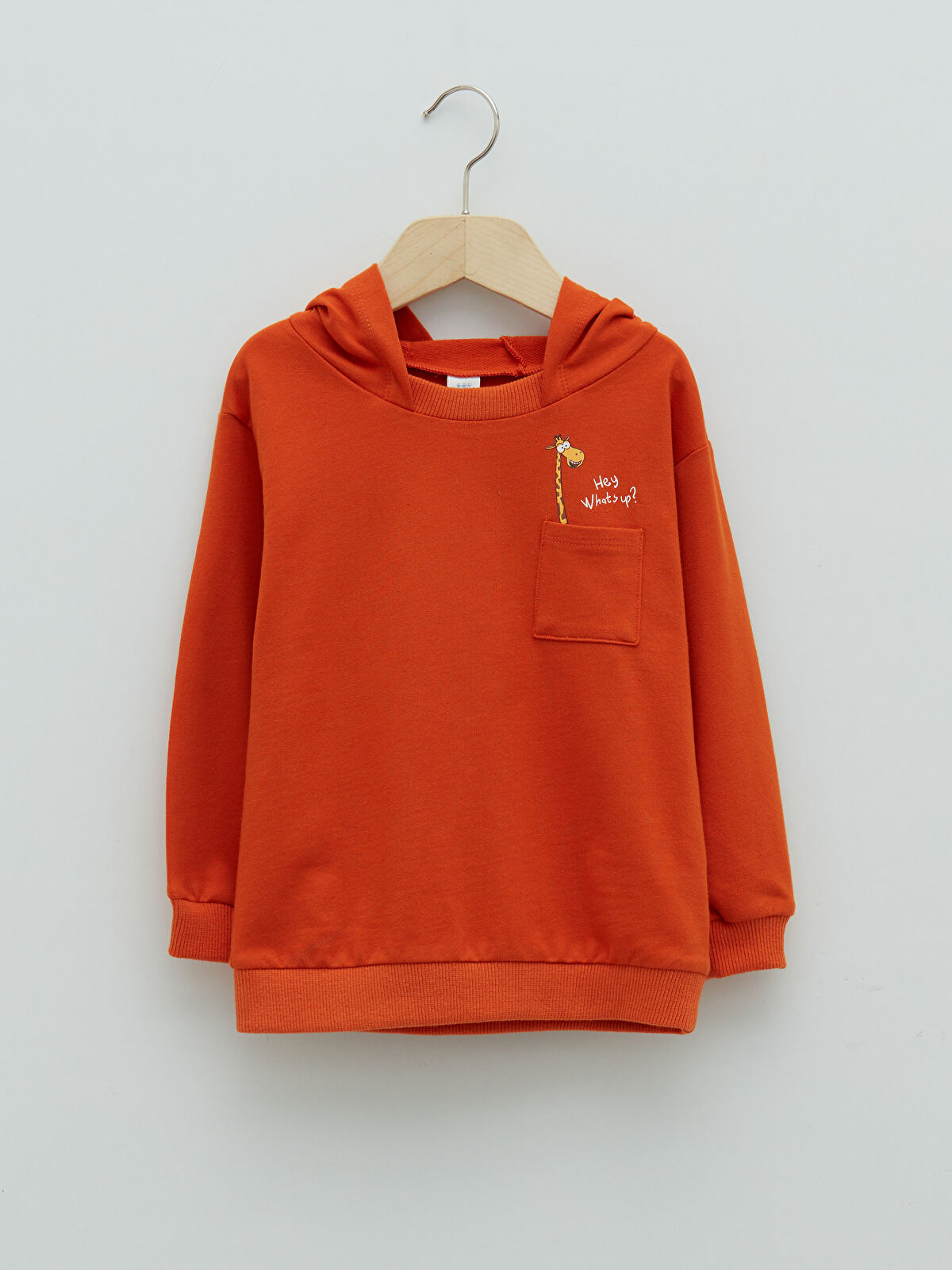 Kapüşonlu Uzun Kollu Baskılı Pamuklu Erkek Bebek Sweatshirt Kapüşonlu Uzun Kollu Baskılı Pamuklu Erkek Bebek Sweatshirt