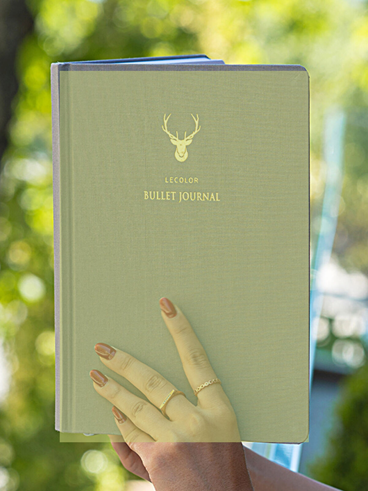 Le Color Keten Noktalı Bullet Journal Defter Le Color Keten Noktalı Bullet Journal Defter