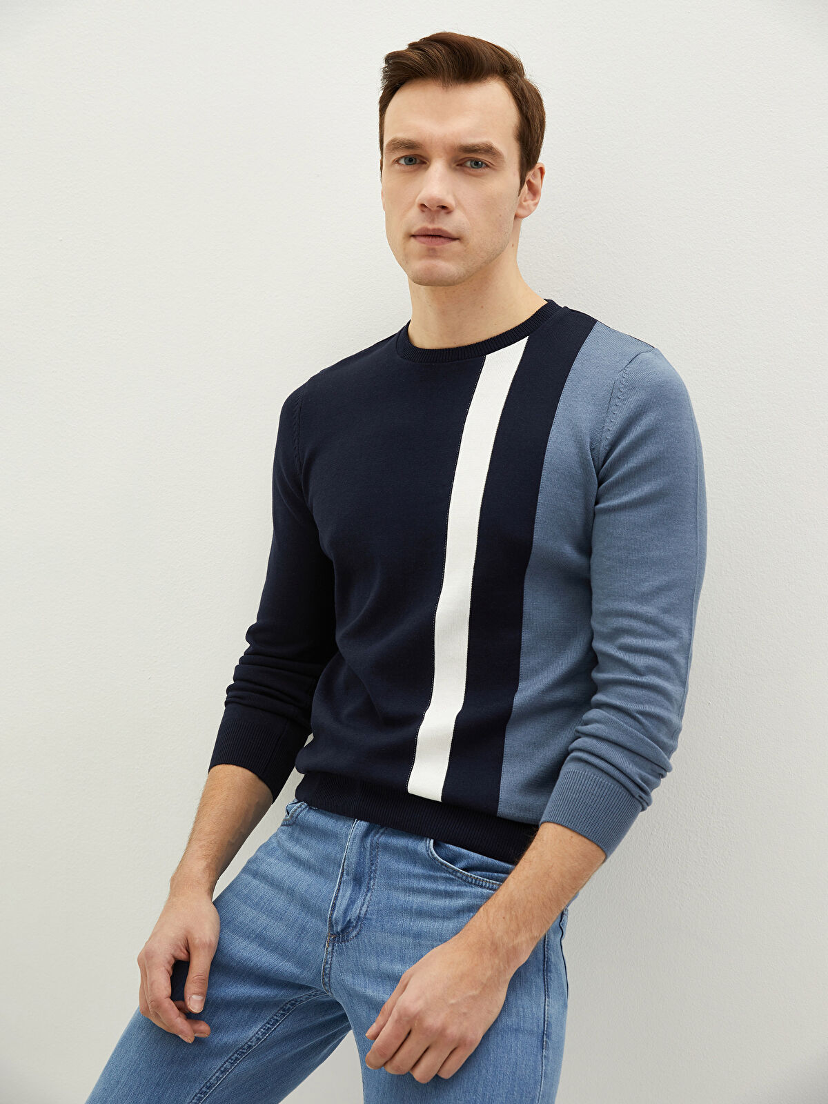 LCW CLASSIC Bisiklet Yaka Uzun Kollu Renk Bloklu Erkek Triko Kazak