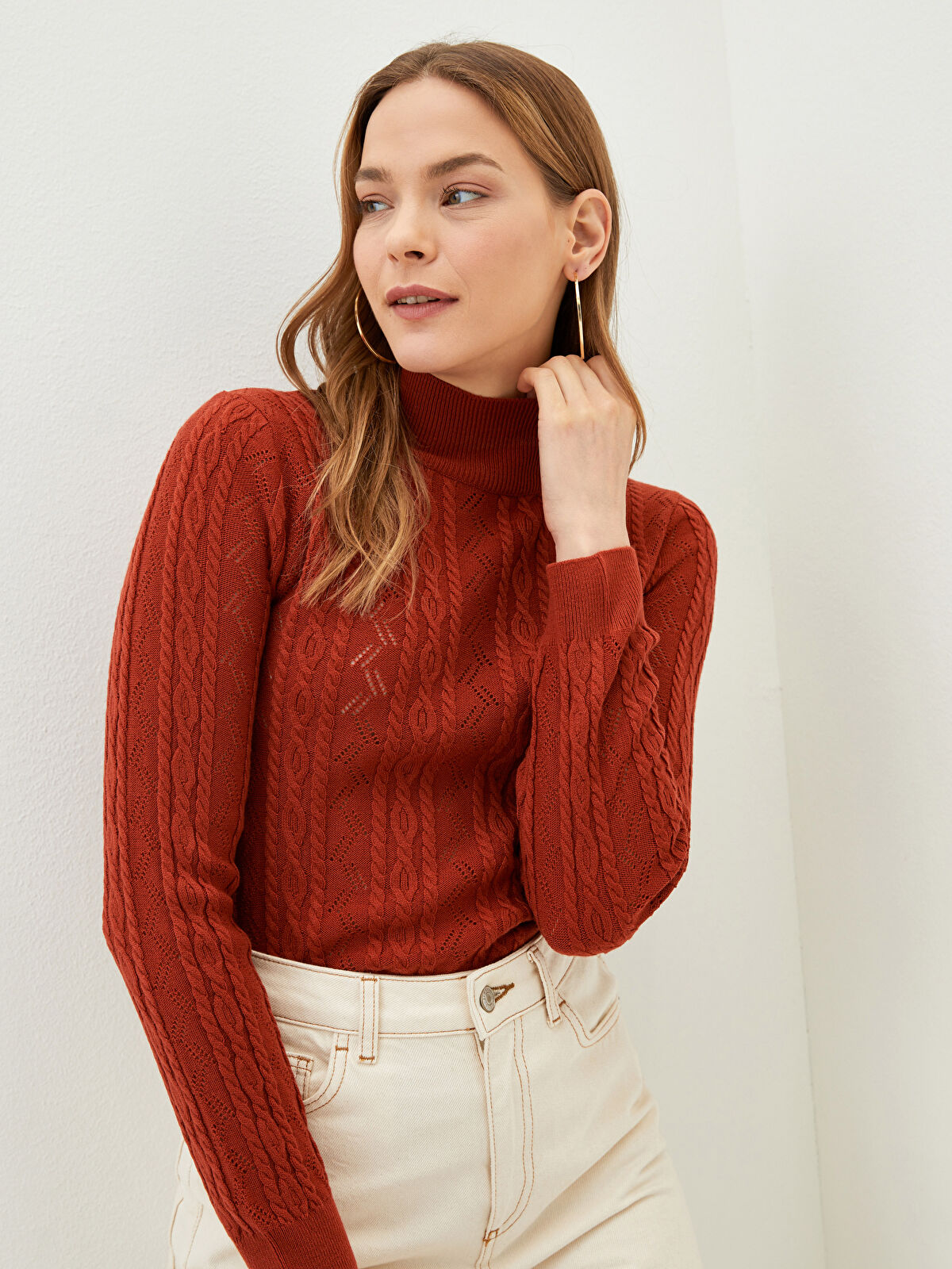 LCW CLASSIC Yarım Balıkçı Yaka Kendinden Desenli Uzun Kollu Kadın Triko Kazak