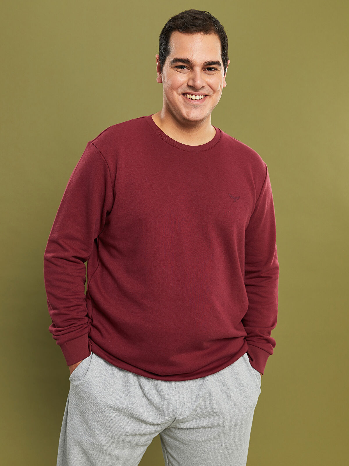 Büyük Beden Bisiklet Yaka Uzun Kollu Basic Erkek Sweatshirt