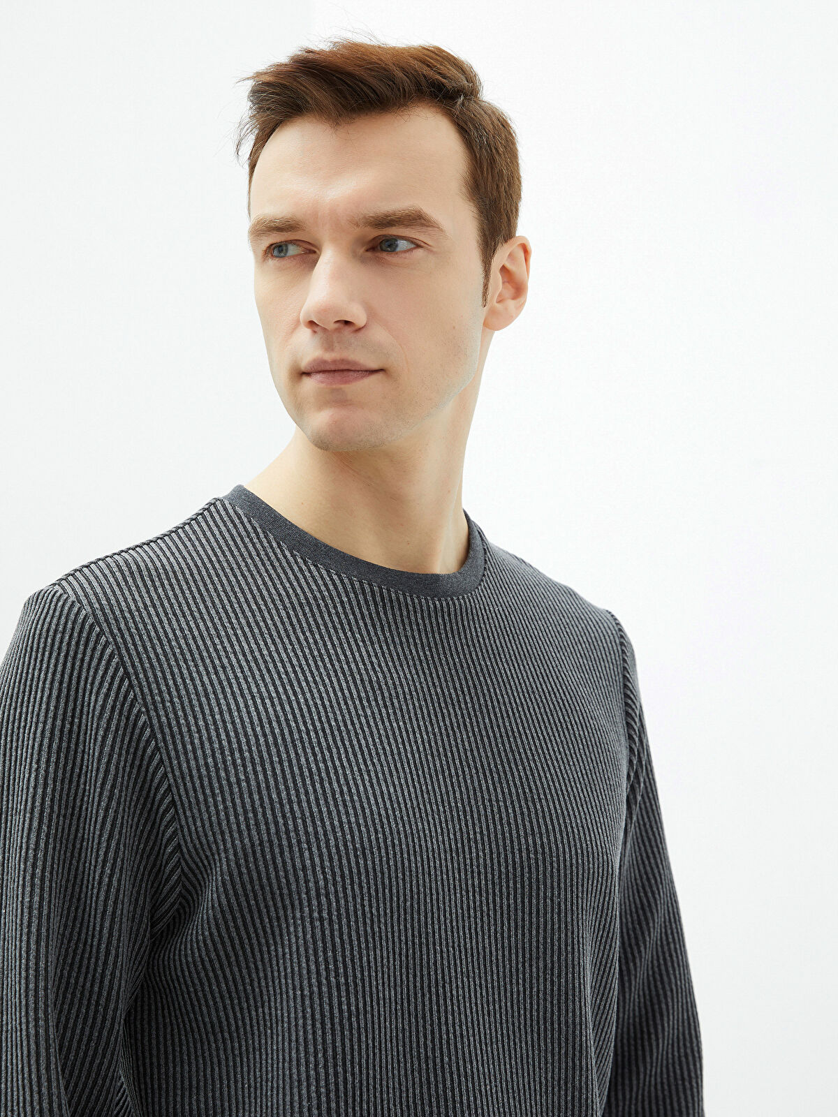 LCW CLASSIC Bisiklet Yaka Uzun Kollu Çizgili Erkek Sweatshirt