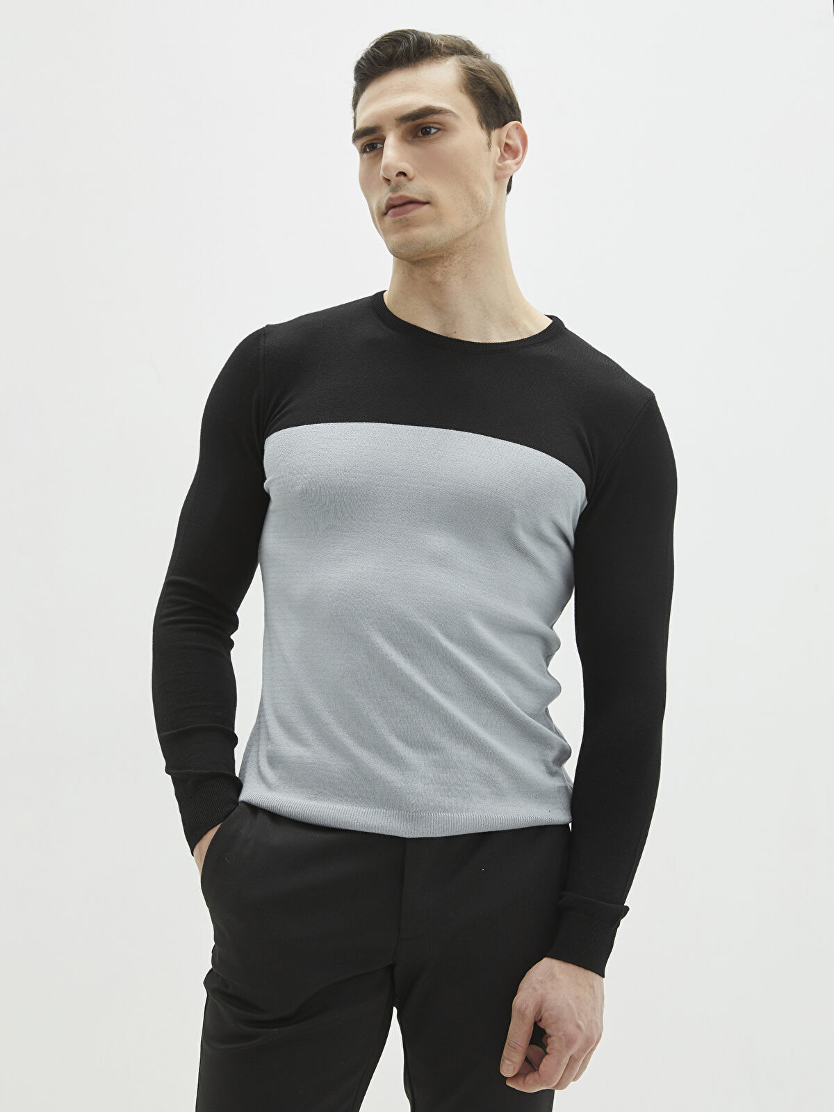 LCW CLASSIC Bisiklet Yaka Uzun Kollu Renk Bloklu İnce Erkek Triko Kazak