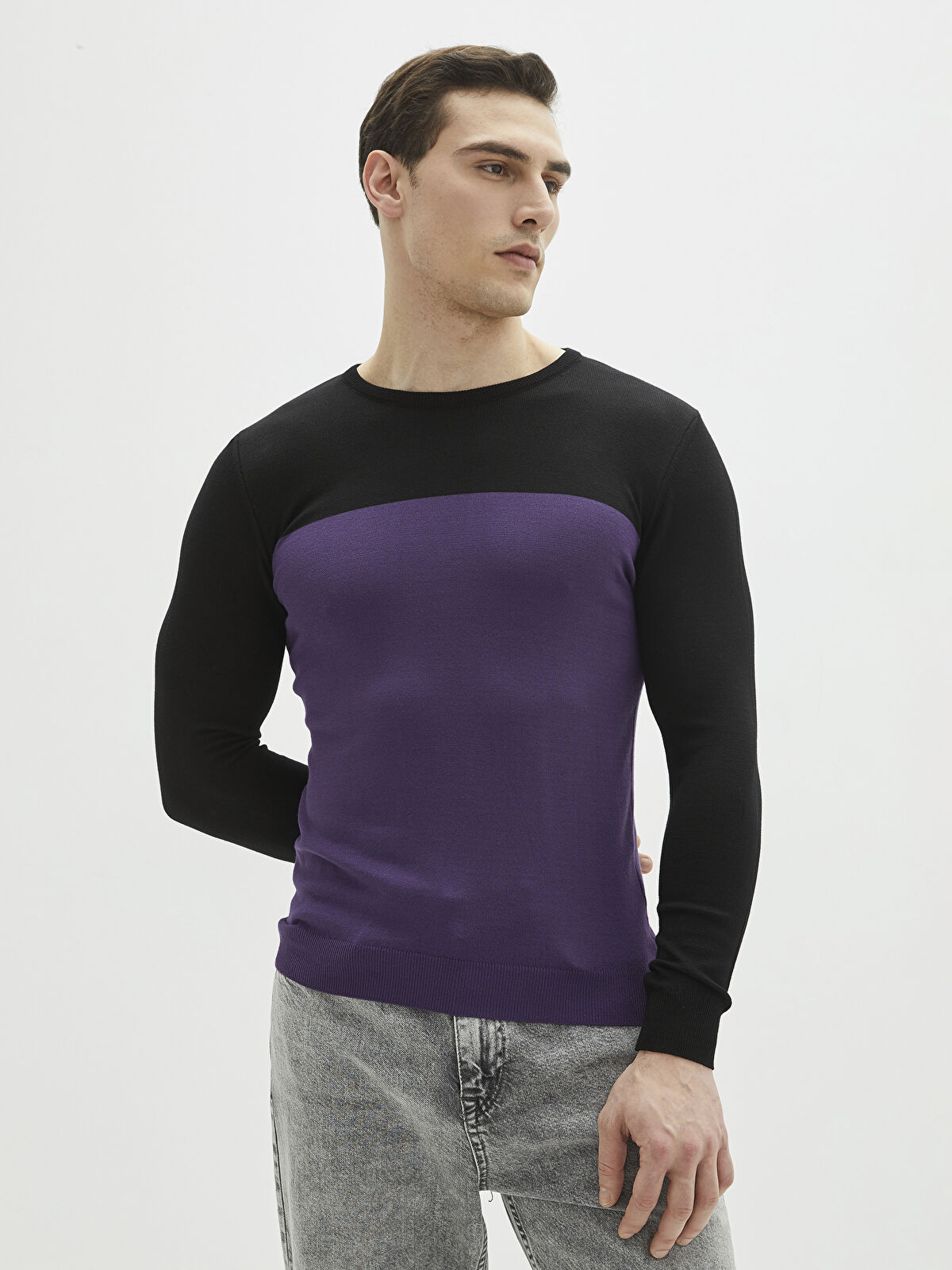 LCW CLASSIC Bisiklet Yaka Uzun Kollu Renk Bloklu İnce Erkek Triko Kazak