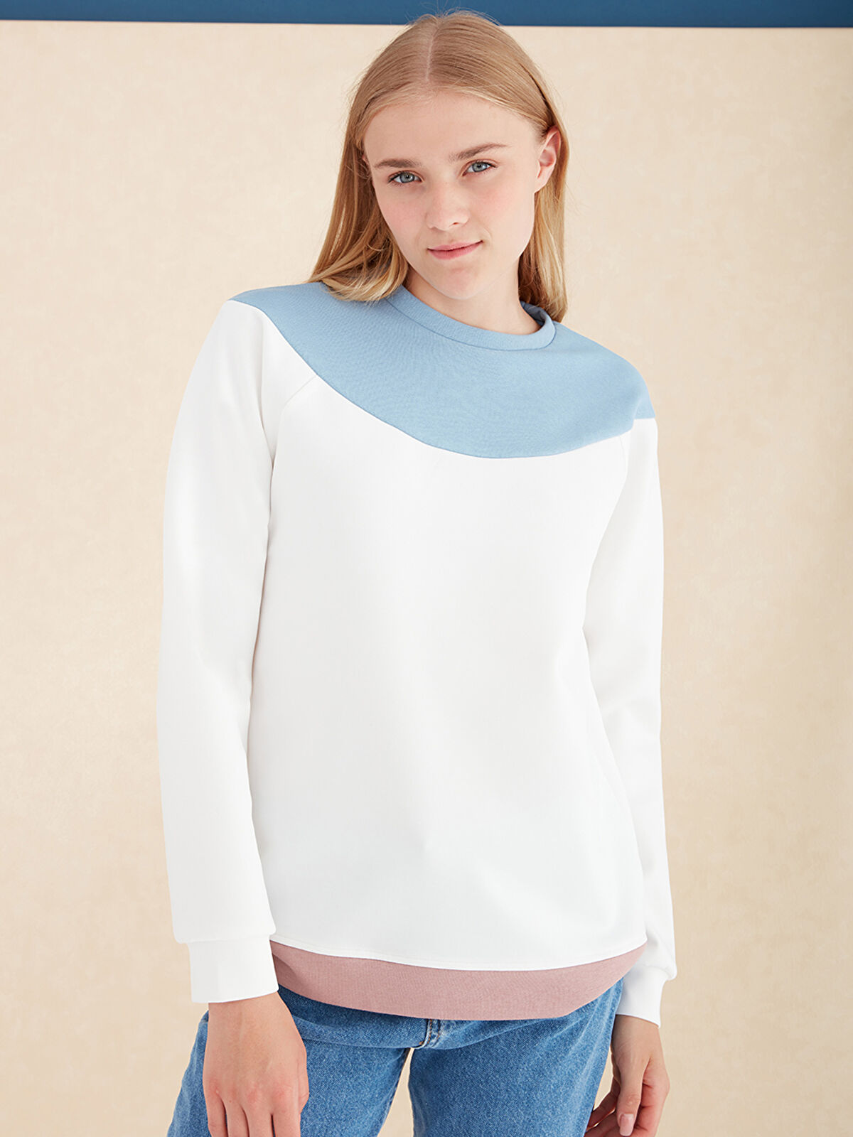 Mizalle Bisiklet Yaka Renk Bloklu Uzun Kollu Skuba Kumaş Kadın Sweatshirt