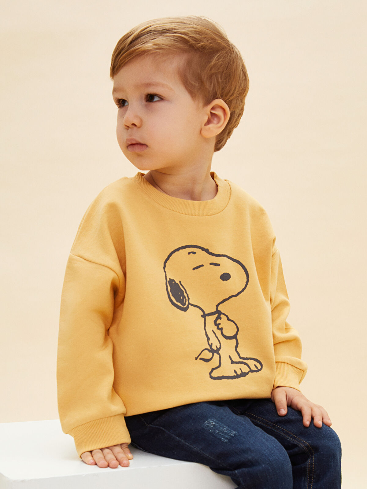 LCW GREEN Bisiklet Yaka Uzun Kollu Snoopy Baskılı Organik Pamuklu Erkek Bebek Sweatshirt