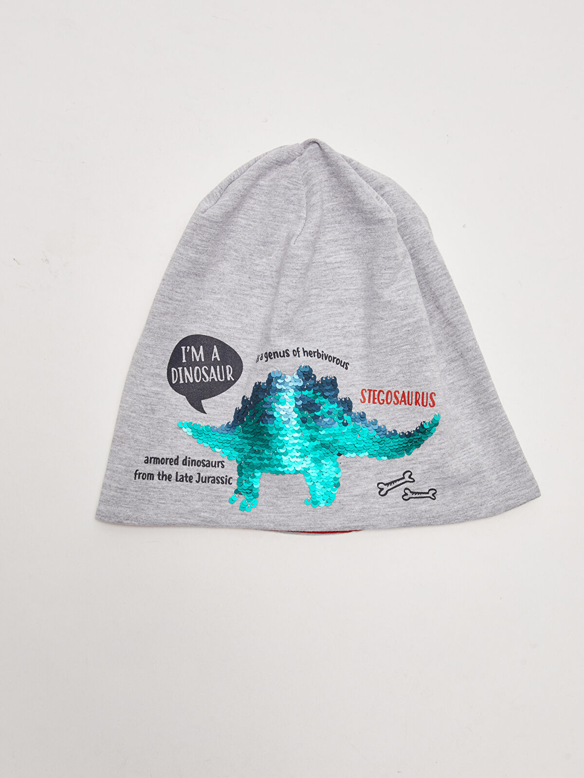 Dinazor Payetli Erkek Çocuk Bere