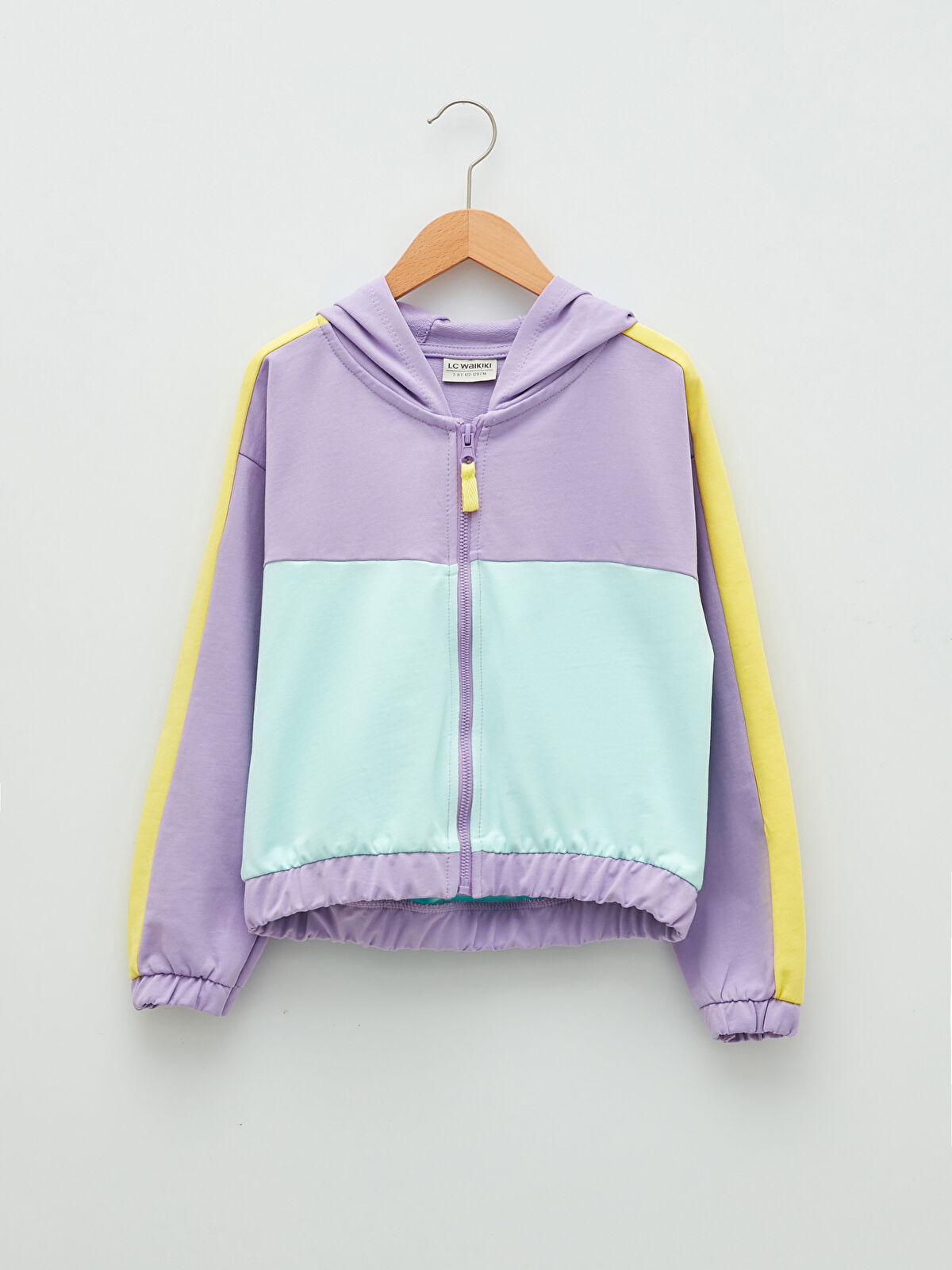 Kapüşonlu Renk Bloklu Uzun Kollu Kız Çocuk Fermuarlı Sweatshirt