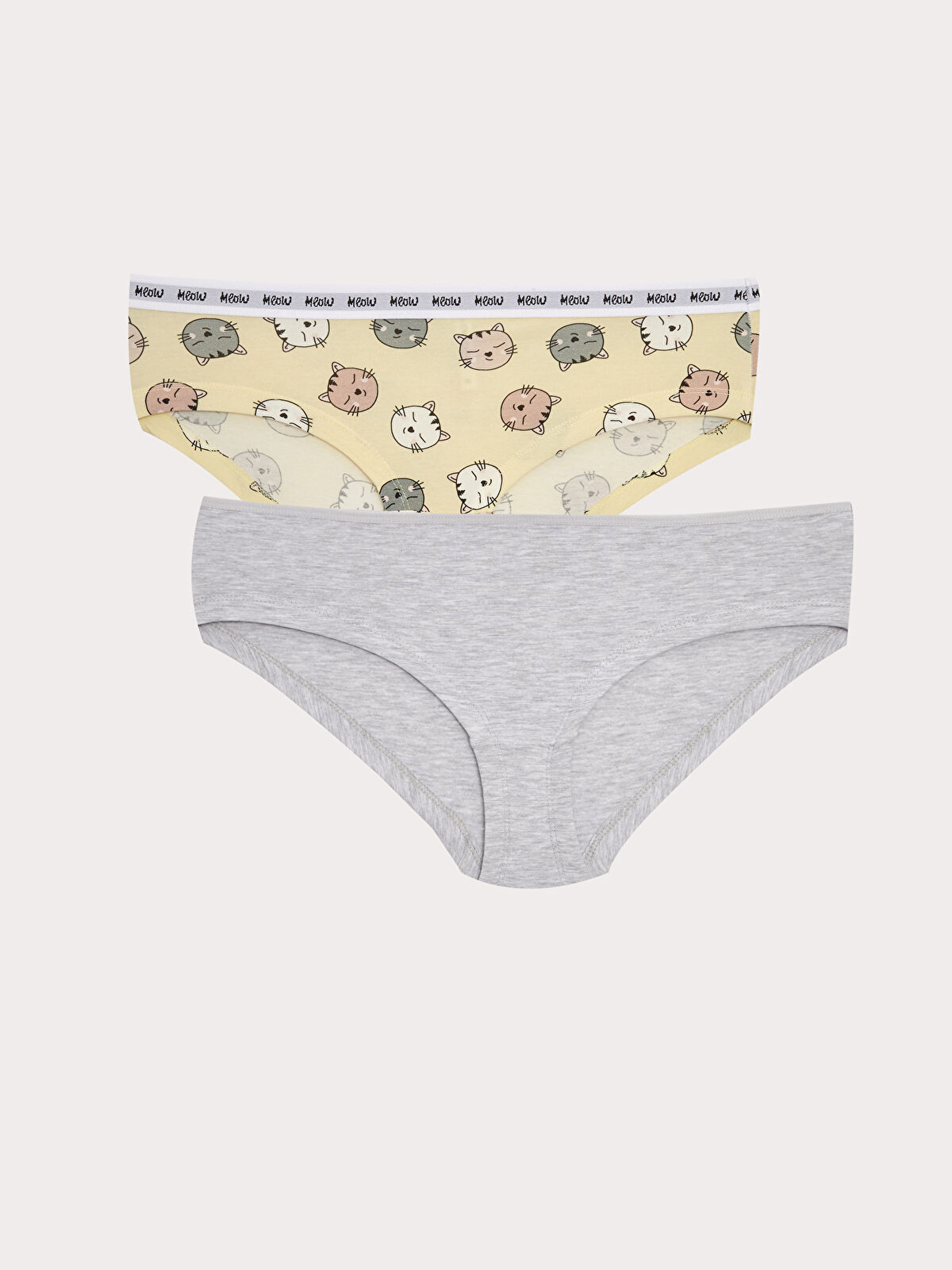 LCW DREAM Desenli Hipster Külot 2'li Paket