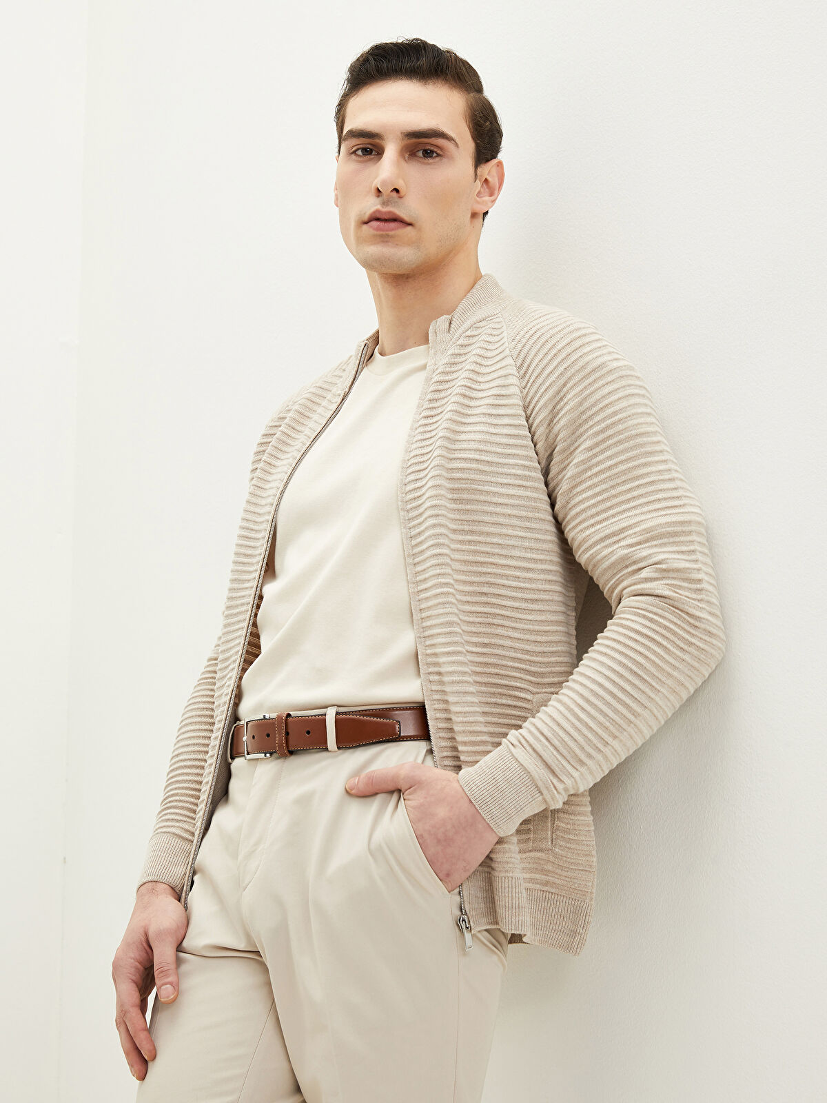 LCW VISION Slim Fit Dik Yaka Erkek Hırka