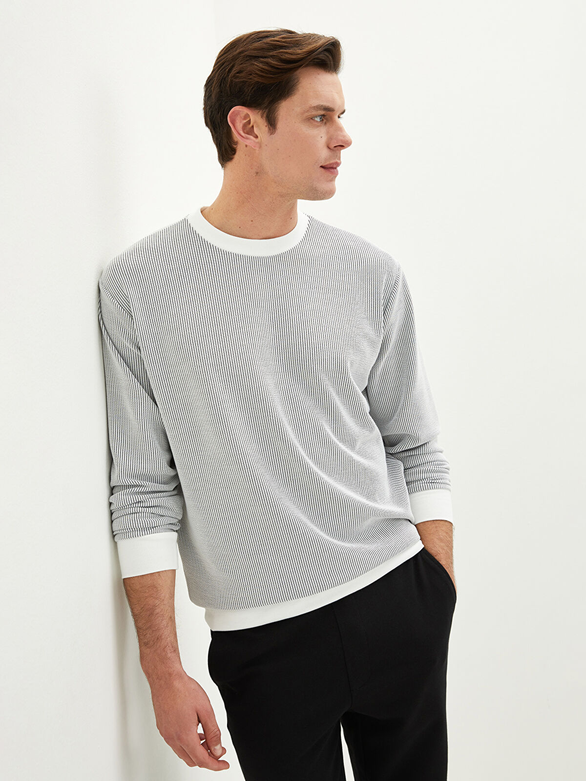 LCW VISION Bisiklet Yaka Uzun Kollu Çizgili Erkek Sweatshirt