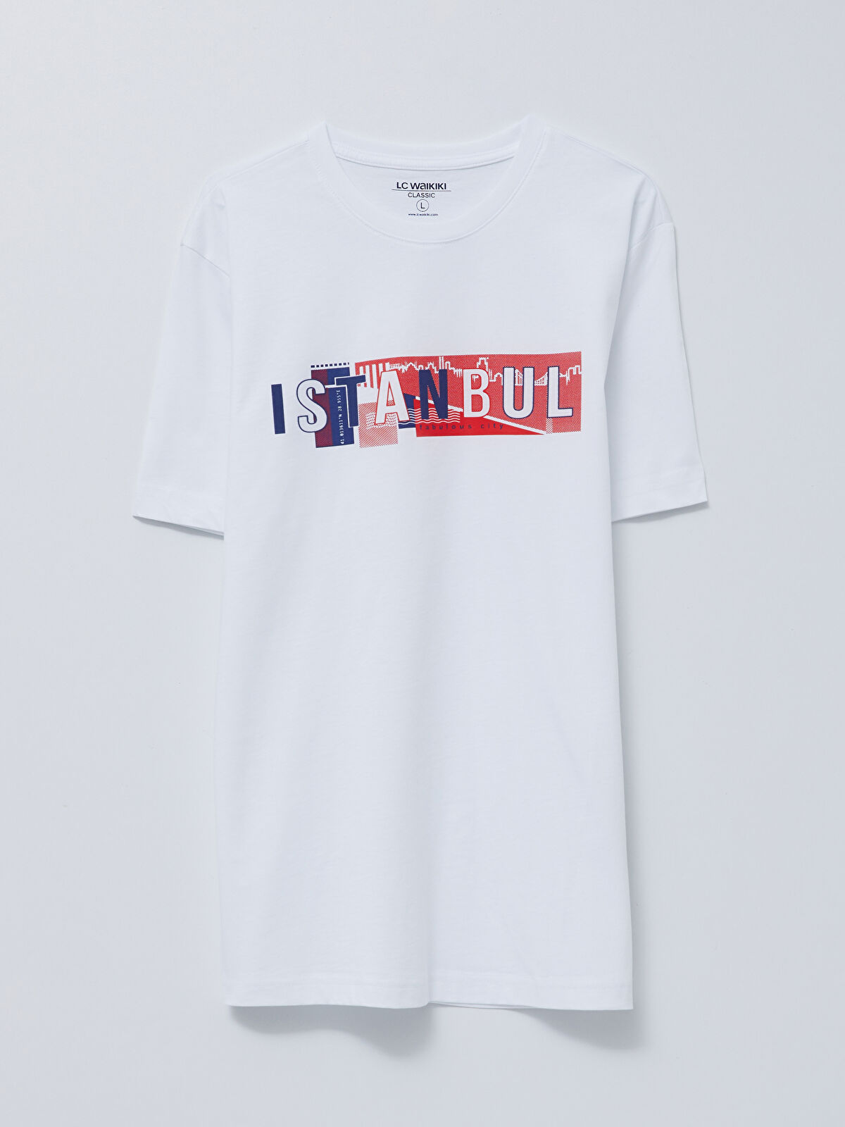 LCW CASUAL Bisiklet Yaka Kısa Kollu İstanbul Baskılı Penye Erkek Tişört